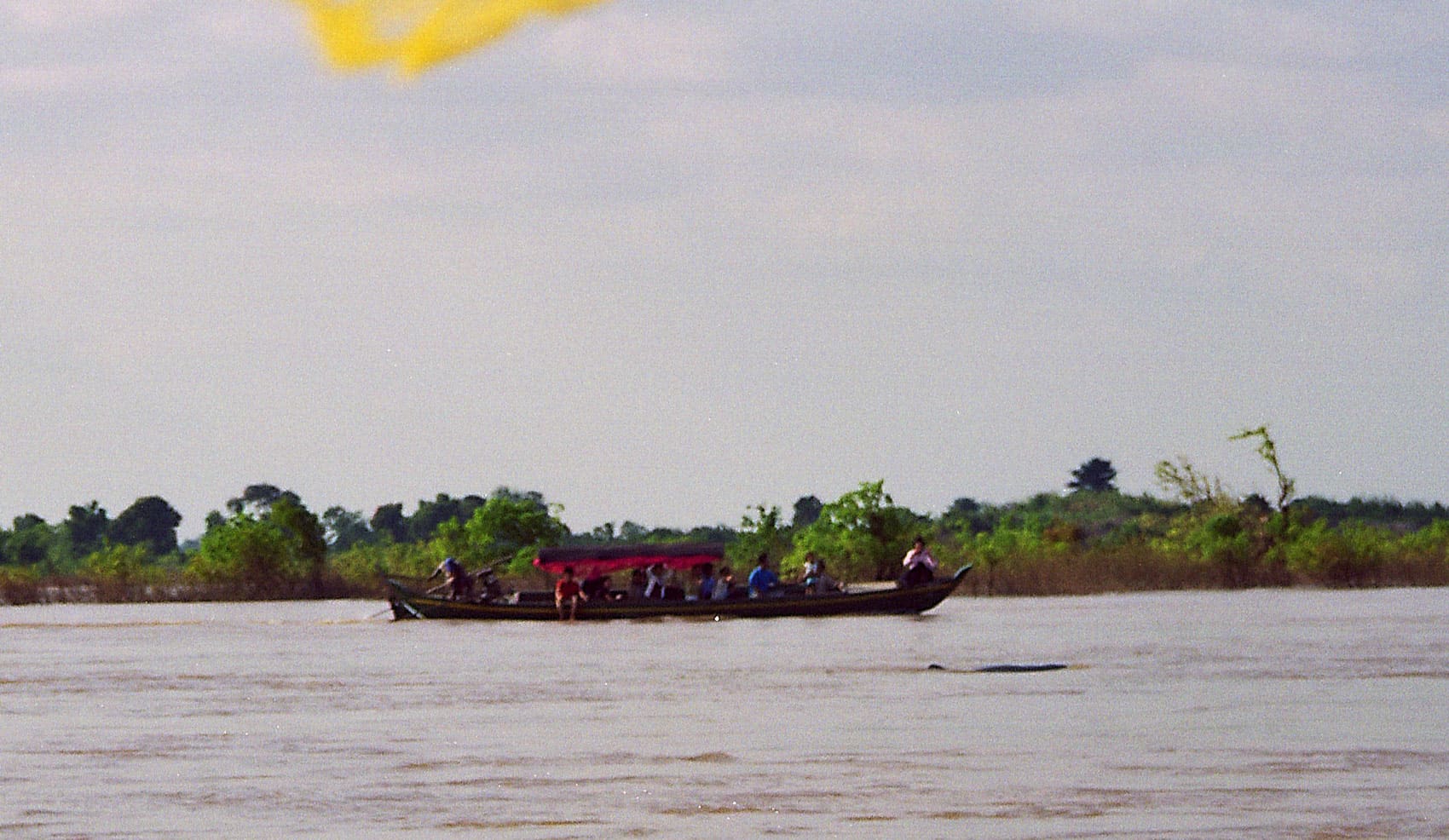Spotting Irrawaddy dolphins - Meanwhile in Thailand